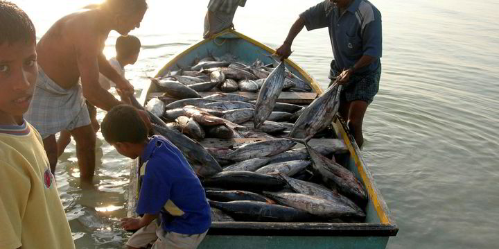 Aquaculture provides generous boost to India's 2018 fish production ...