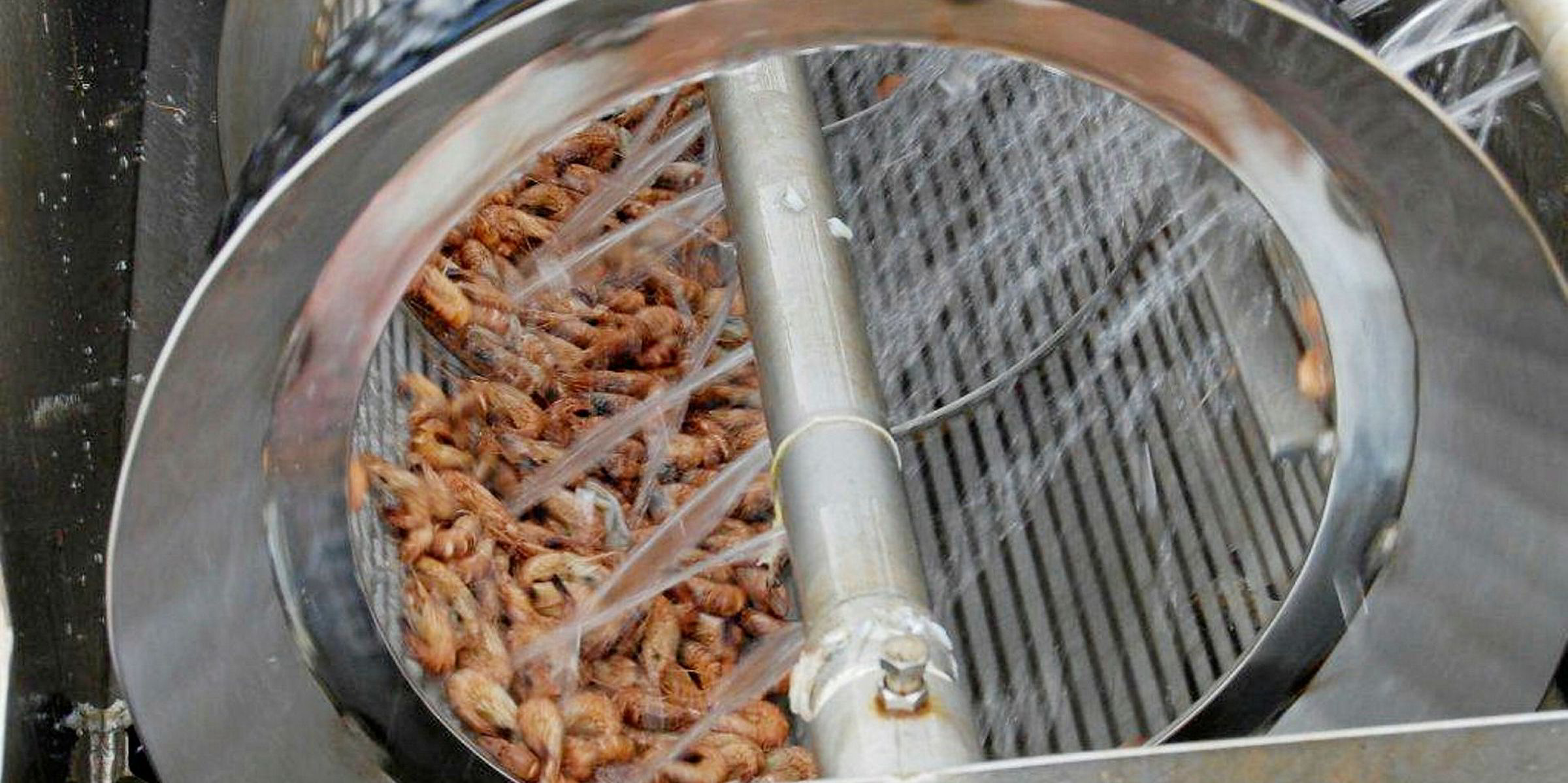 Early start to North Sea brown shrimp fishing driving down prices ...