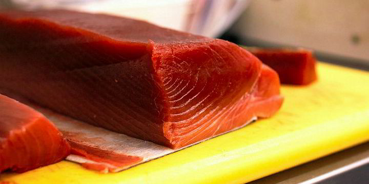 A Russian tuna fishery? With growing demand it might be a reality ...