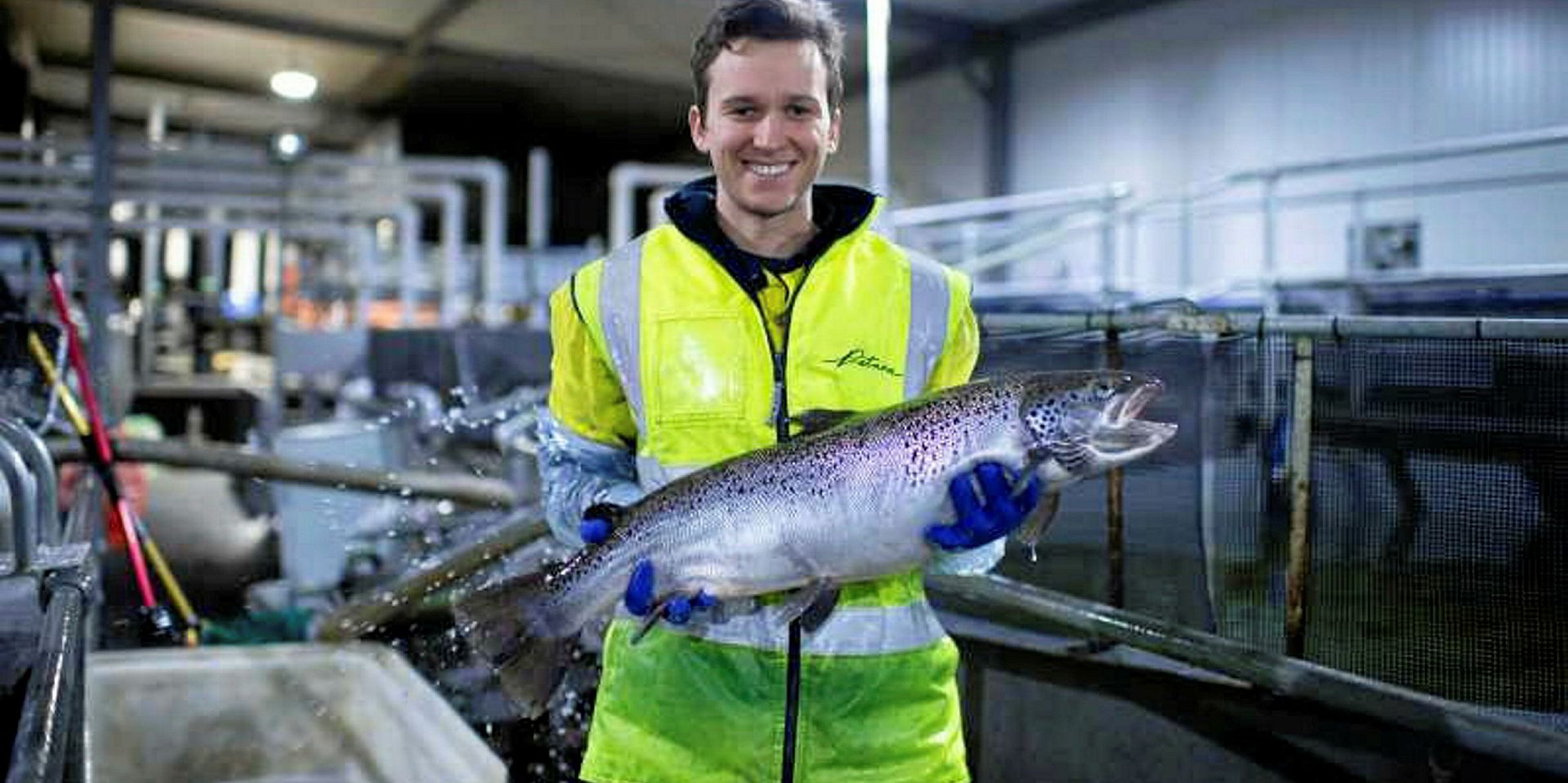 Norway Royal Salmon's Icelandic salmon farming subsidiary the latest ...