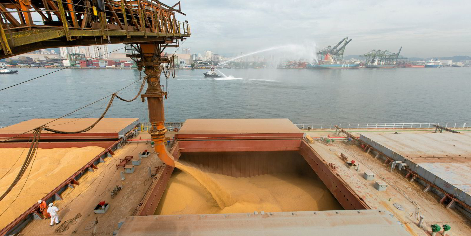 Dry cargo broker Jeremy Palin upbeat on sector's prospects | TradeWinds