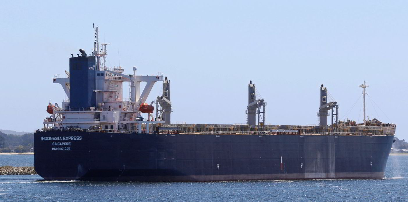 Asia Pulp & Paper splashing out close to $140m on woodchip carrier ...