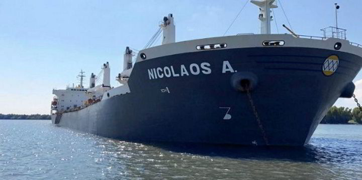 Turkey’s Arkas Holding leaves market guessing with first bulk carrier ...