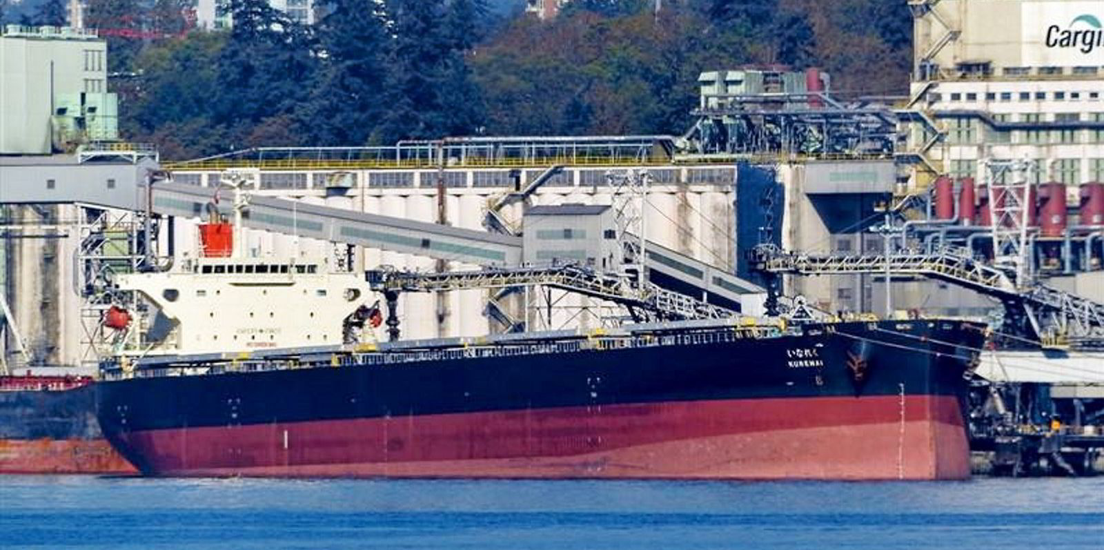 S'Hail adds biggest bulker to Baumarine by Maruklav pool | TradeWinds