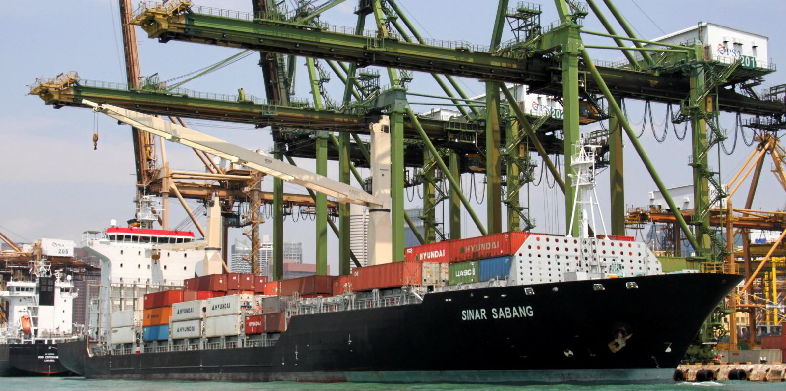 Buyers sniff out bargains in small boxship market | TradeWinds