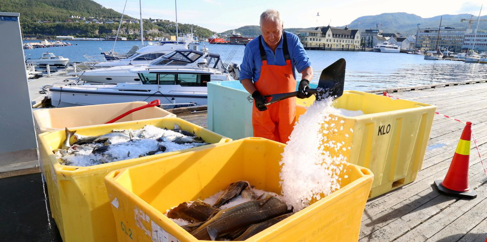 Norway hopes to regain Marine Stewardship Council eco-label for inshore ...