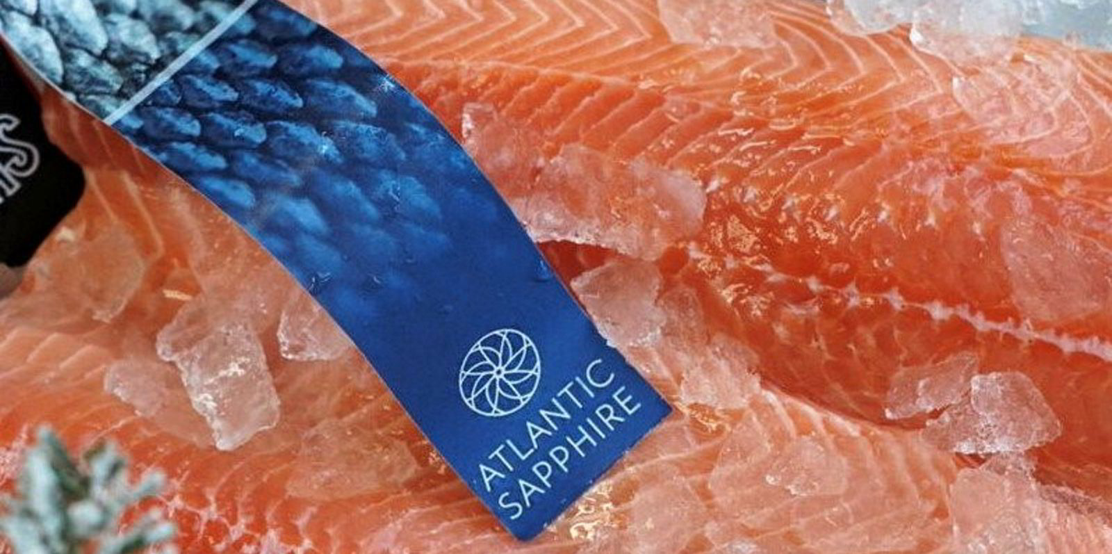 Atlantic Sapphire doubles losses, revenue in 2021 | IntraFish.com