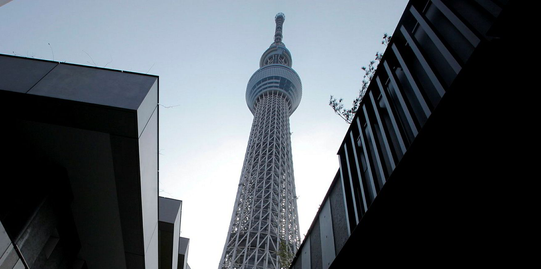 Shareholder spat at Inui Logistics blows up online | TradeWinds