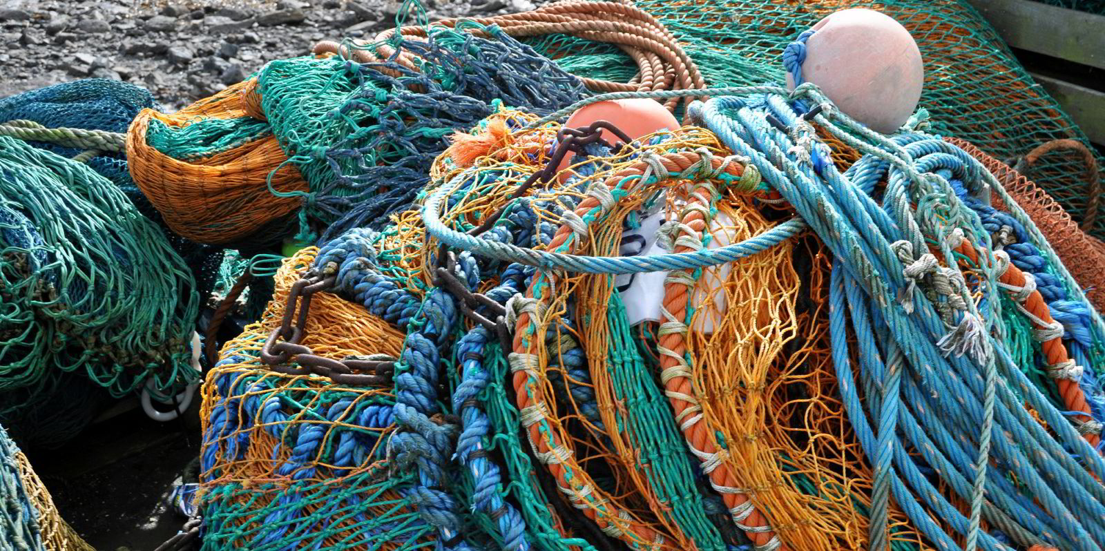Cyprus Sea Lines says fishing net was catalyst for Aussie bulker ban ...