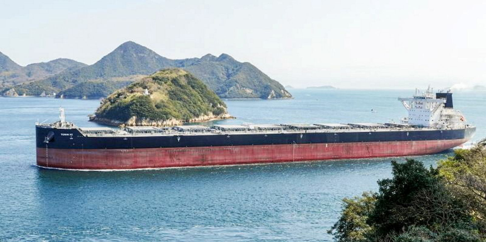 Capesize bulker sector has a new player: Dubai’s Tomini Shipping ...