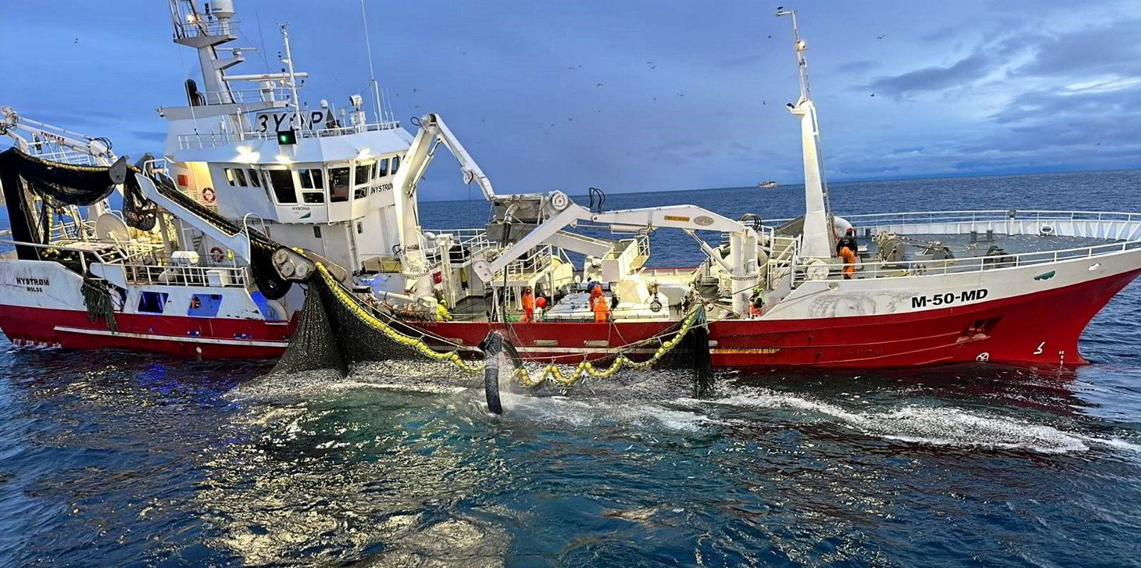 Glad for at fisket øst for «sildestreken» er åpnet | Fiskeribladet