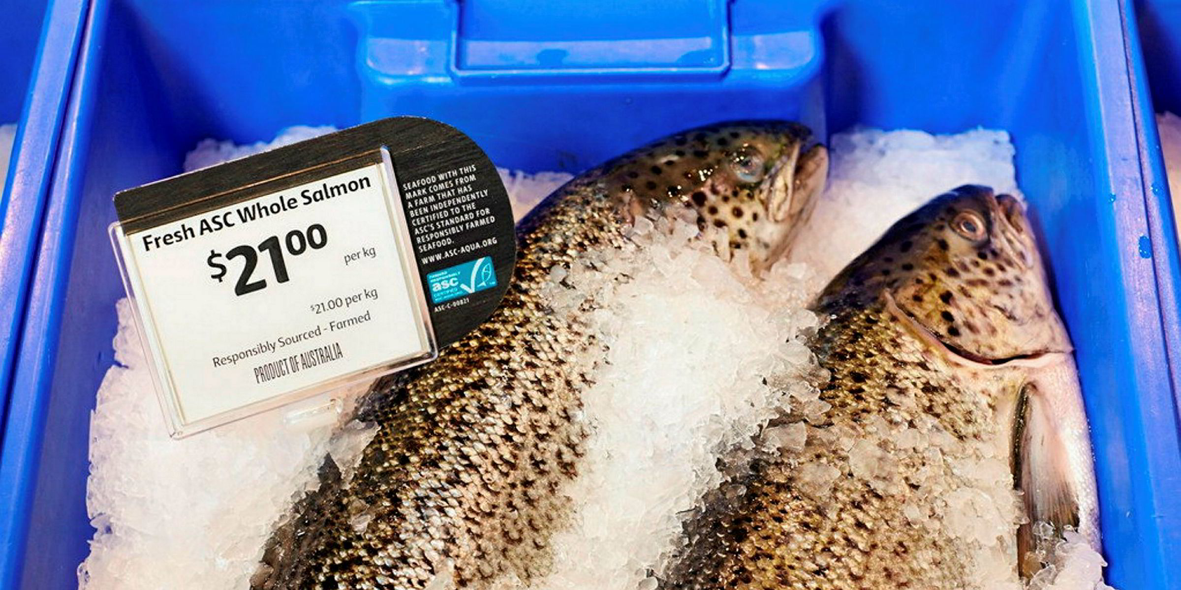 Coles wins gold in MSC seafood sustainability awards | IntraFish.com