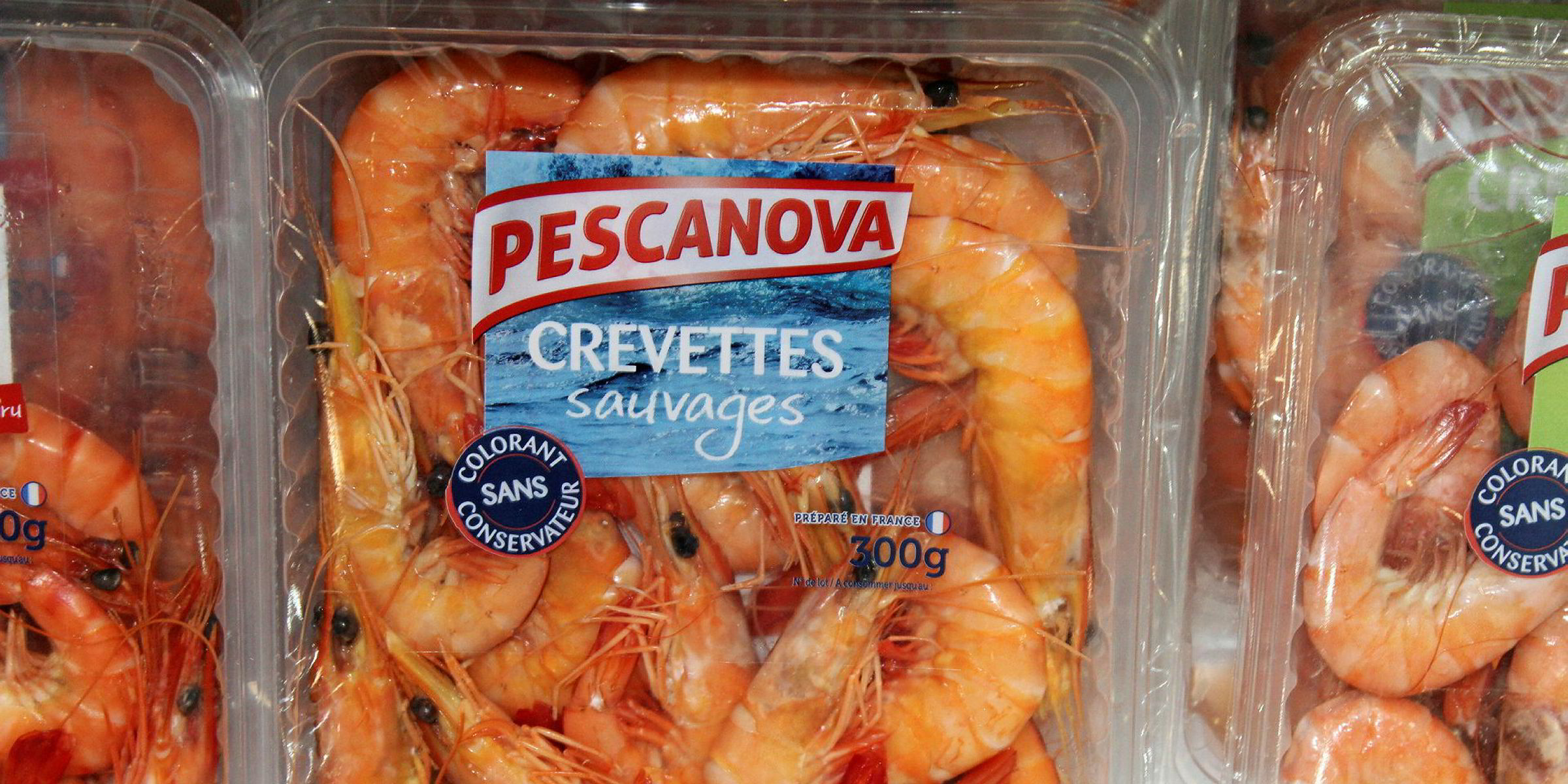 Nueva Pescanova hunts for entrepreneurs to boost shrimp farming ...