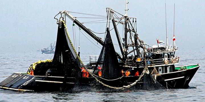 Second Peruvian anchovy season resumes | IntraFish.com