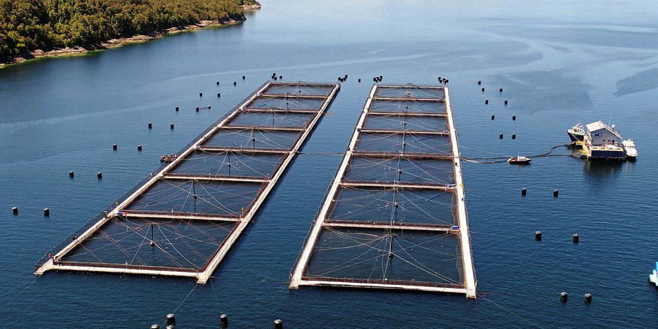 Higher production costs blow hole in Mowi Chile's Q2 earnings ...