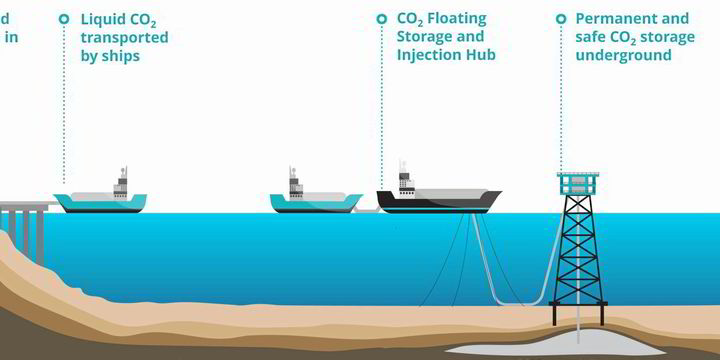 Japanese player in joint bid for greenhouse gas storage acreage ...