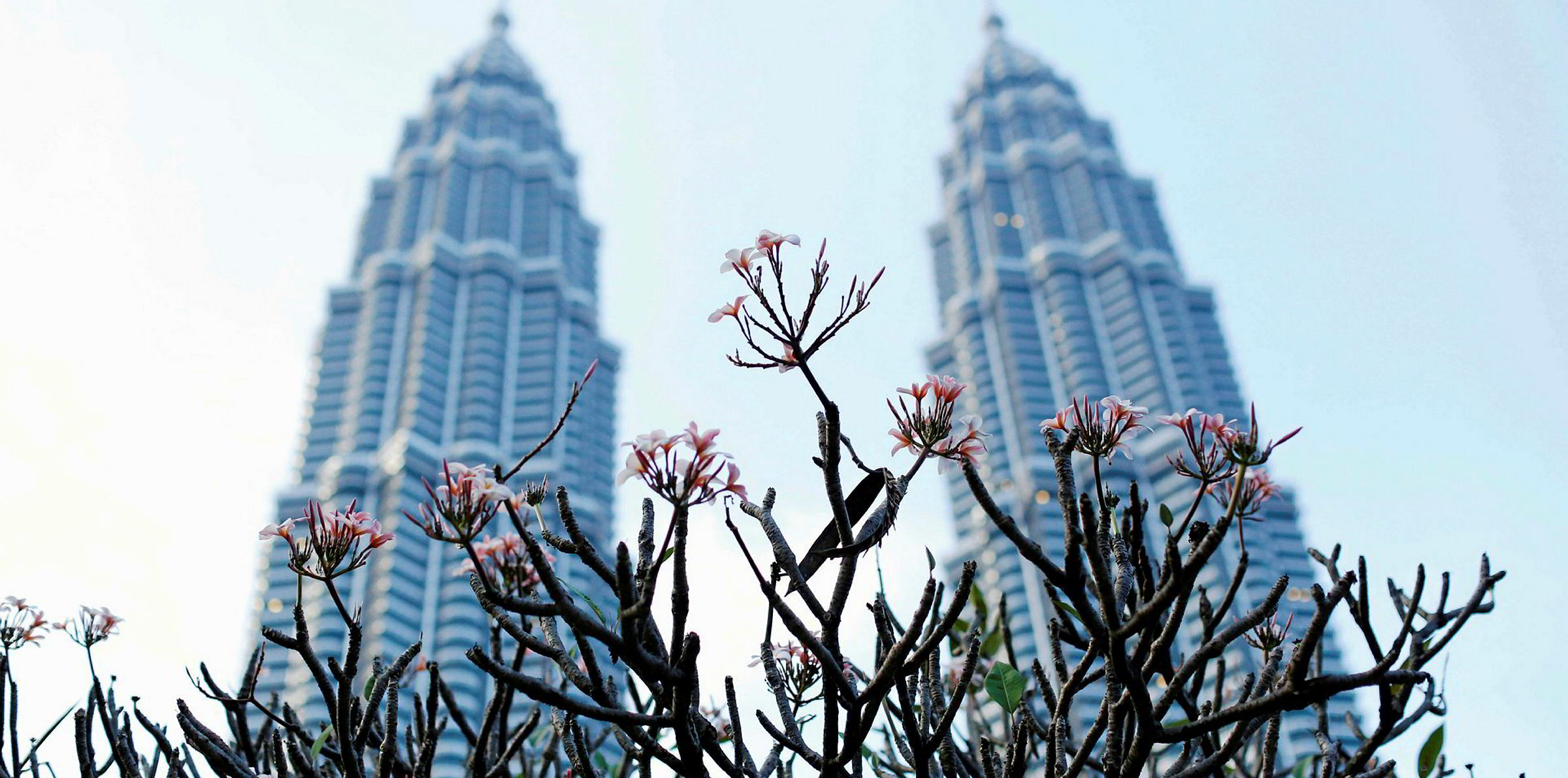 Petronas prepares for new development phase at field off Indonesia ...