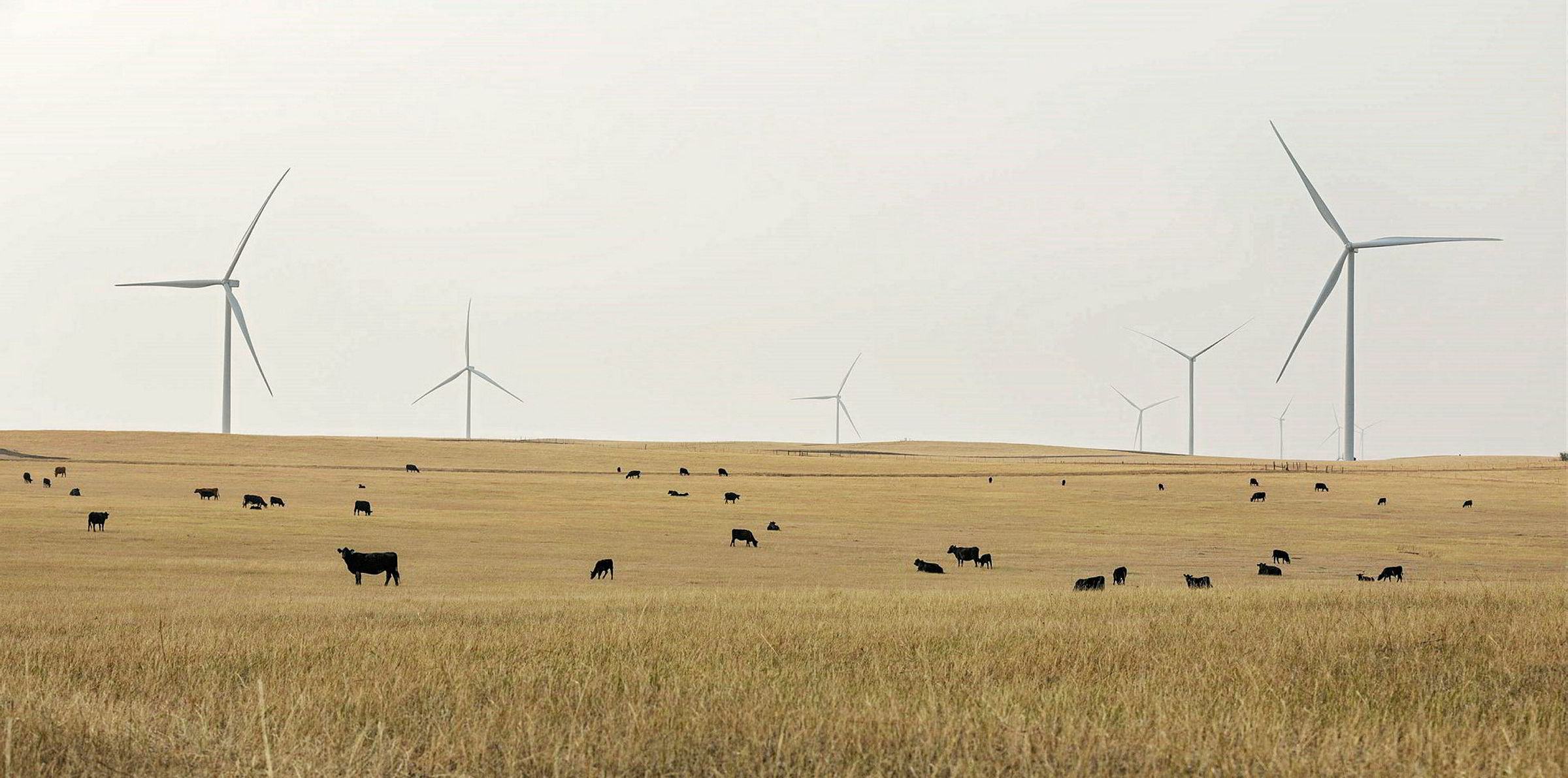 Biggest wind farm on dry land for offshore giant Orsted | Recharge Biggest wind farm on dry land for offshore giant Orsted | Recharge