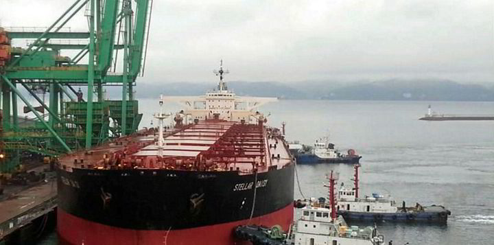 Polaris boss sentenced over VLOC Stellar Daisy's defects | TradeWinds