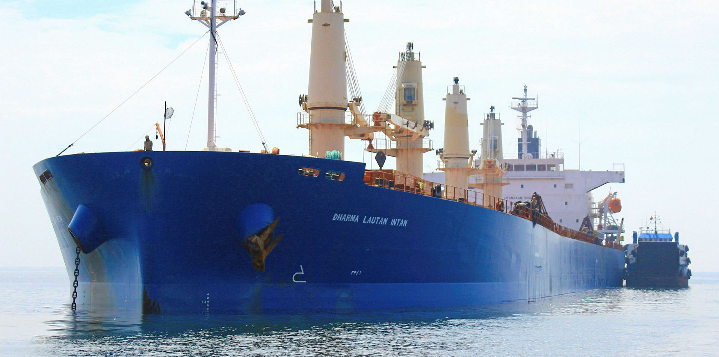 Indonesian bulker owners scout market for tonnage | TradeWinds