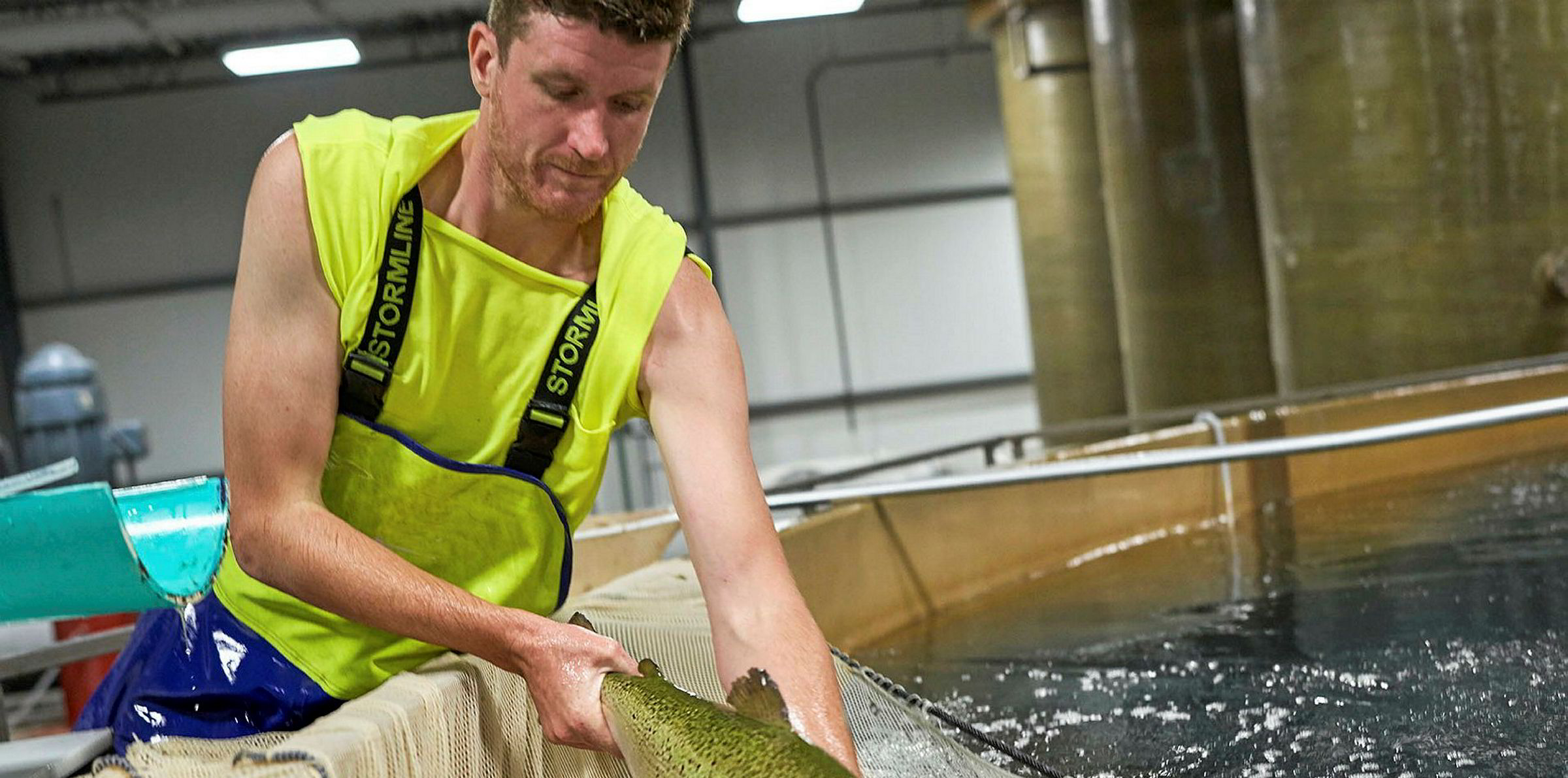 AquaBounty headed for commercial GM farmed salmon production with ...