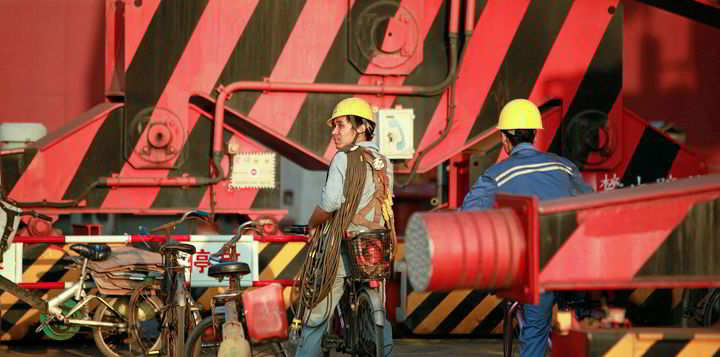 Dole eyes Chinese newbuildings as fleet ripens for renewal | TradeWinds