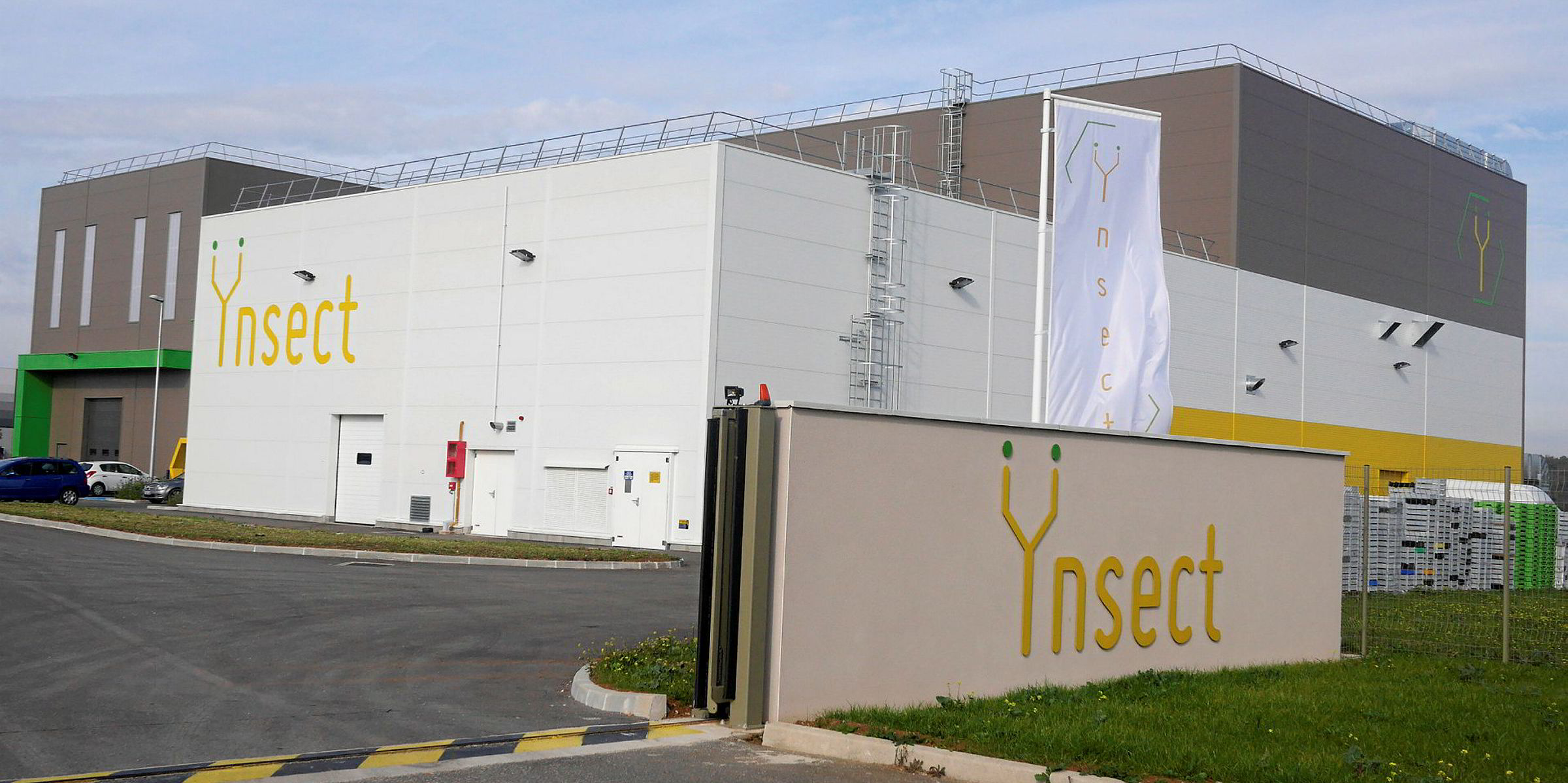 Insect-protein maker nabs €20 million EU investment | IntraFish.com