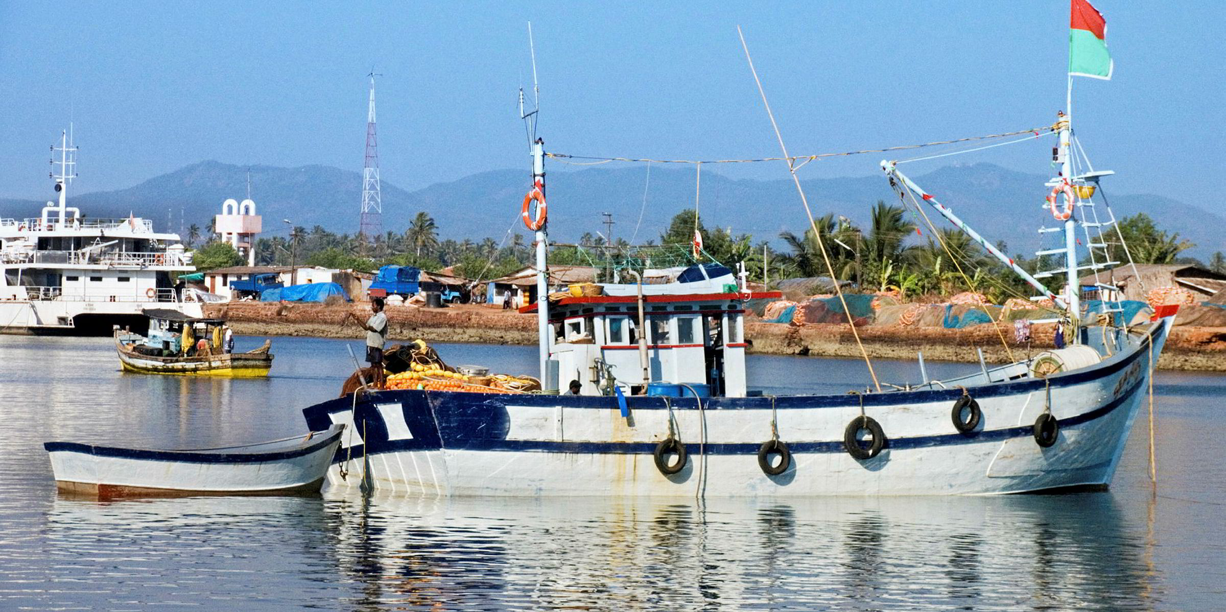 India's fish production rises by a third | IntraFish