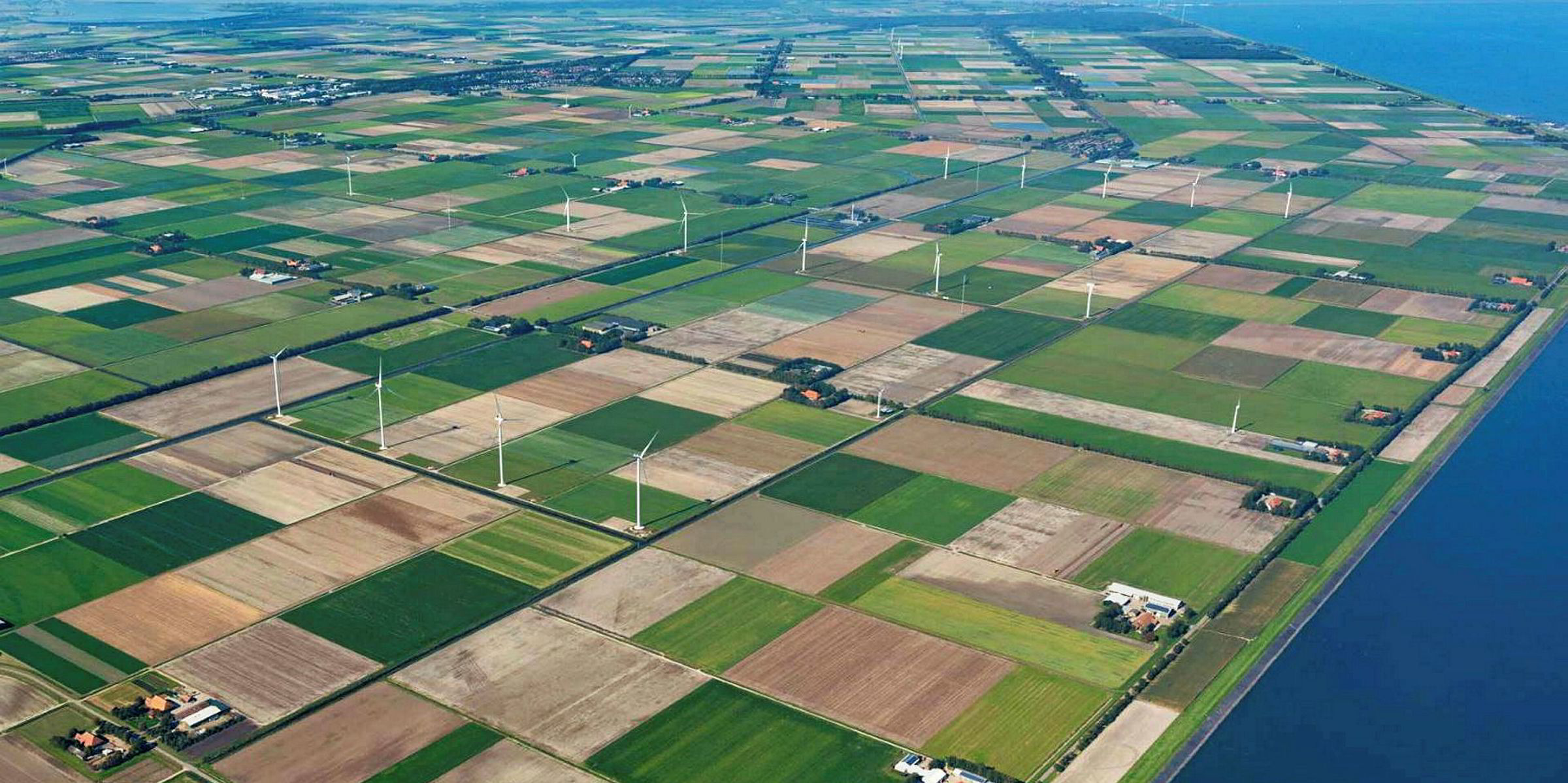 Largest Dutch onshore wind farm opens, with Microsoft buying lion's ...