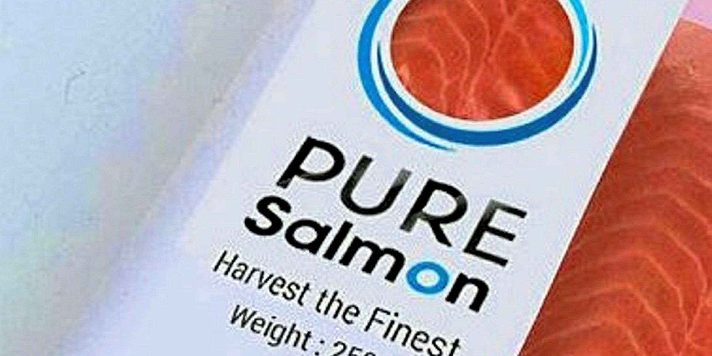 Another land-based salmon farmer chooses US site | IntraFish.com