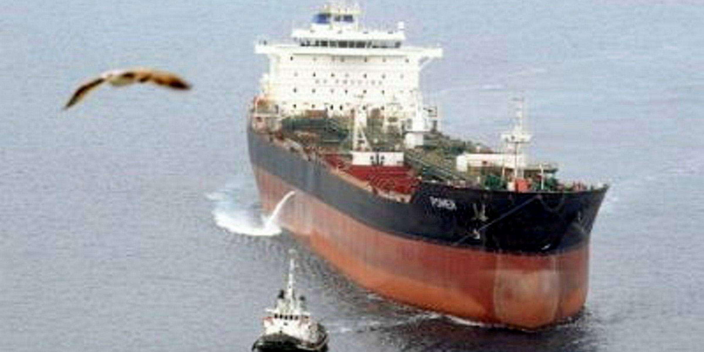 Uljanik Plovidba turns red as it eyes ship sales | TradeWinds