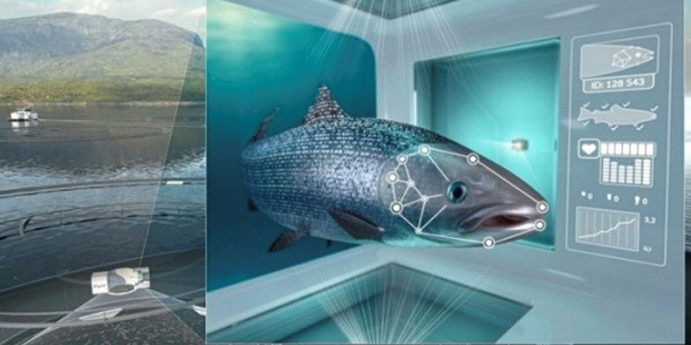 These futuristic salmon farming concepts could radically reshape the ...