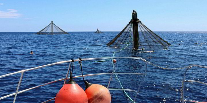 NOAA designates two new offshore aquaculture development zones in US ...