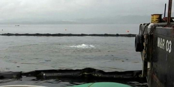 Southern Phoenix to rise from the waves | TradeWinds