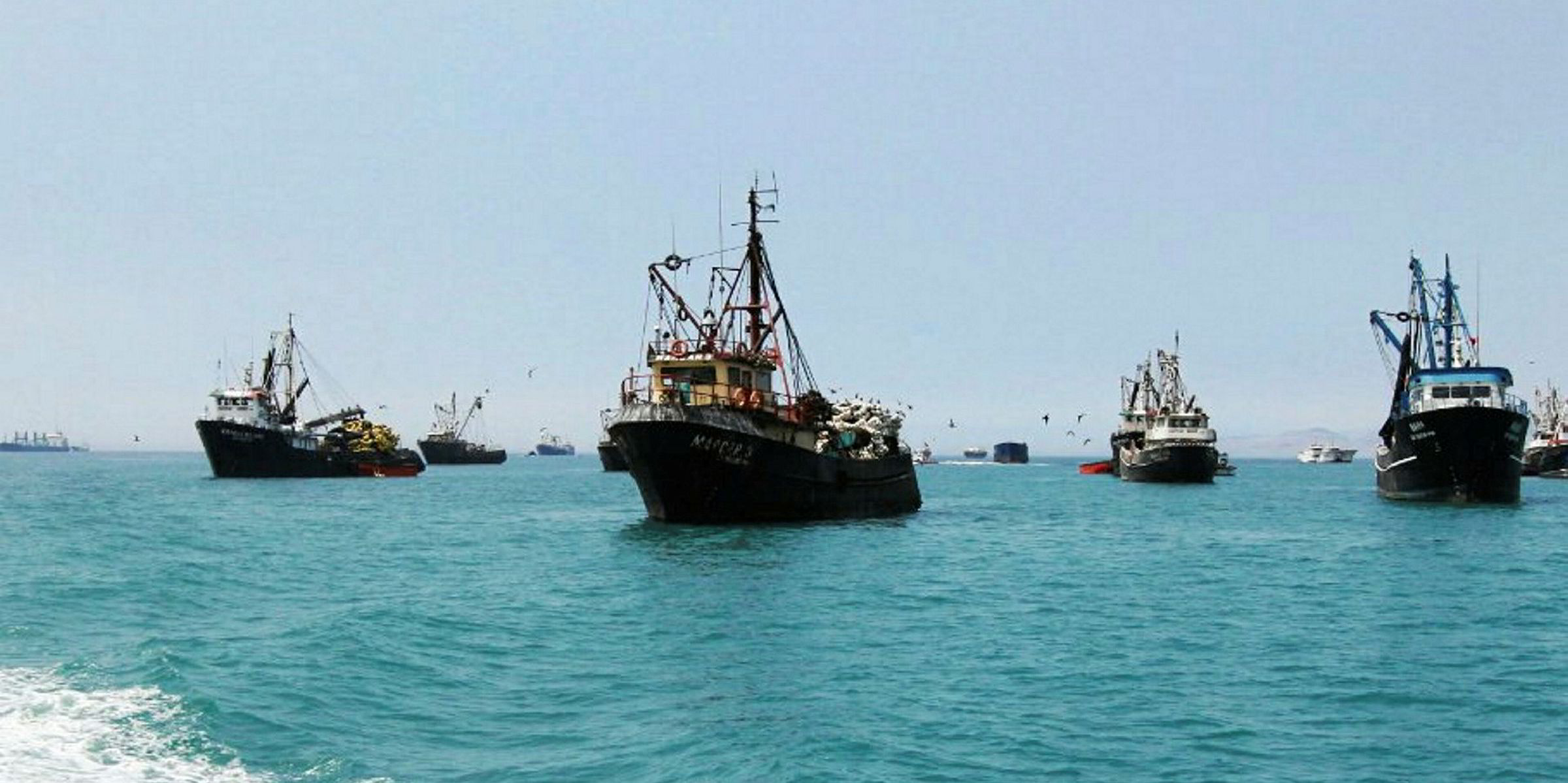 Peruvian fishmeal giant doubles earnings, sales in Q1 | IntraFish.com