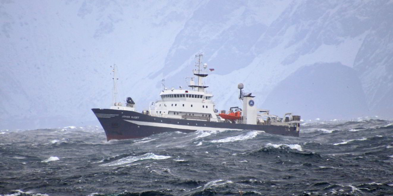 Skreitoktet halvveis: Forsiktig optimisme fra forskerne | Fiskeribladet