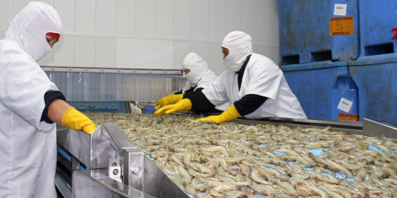Key markets drive Ecuador closer to new shrimp export record ...