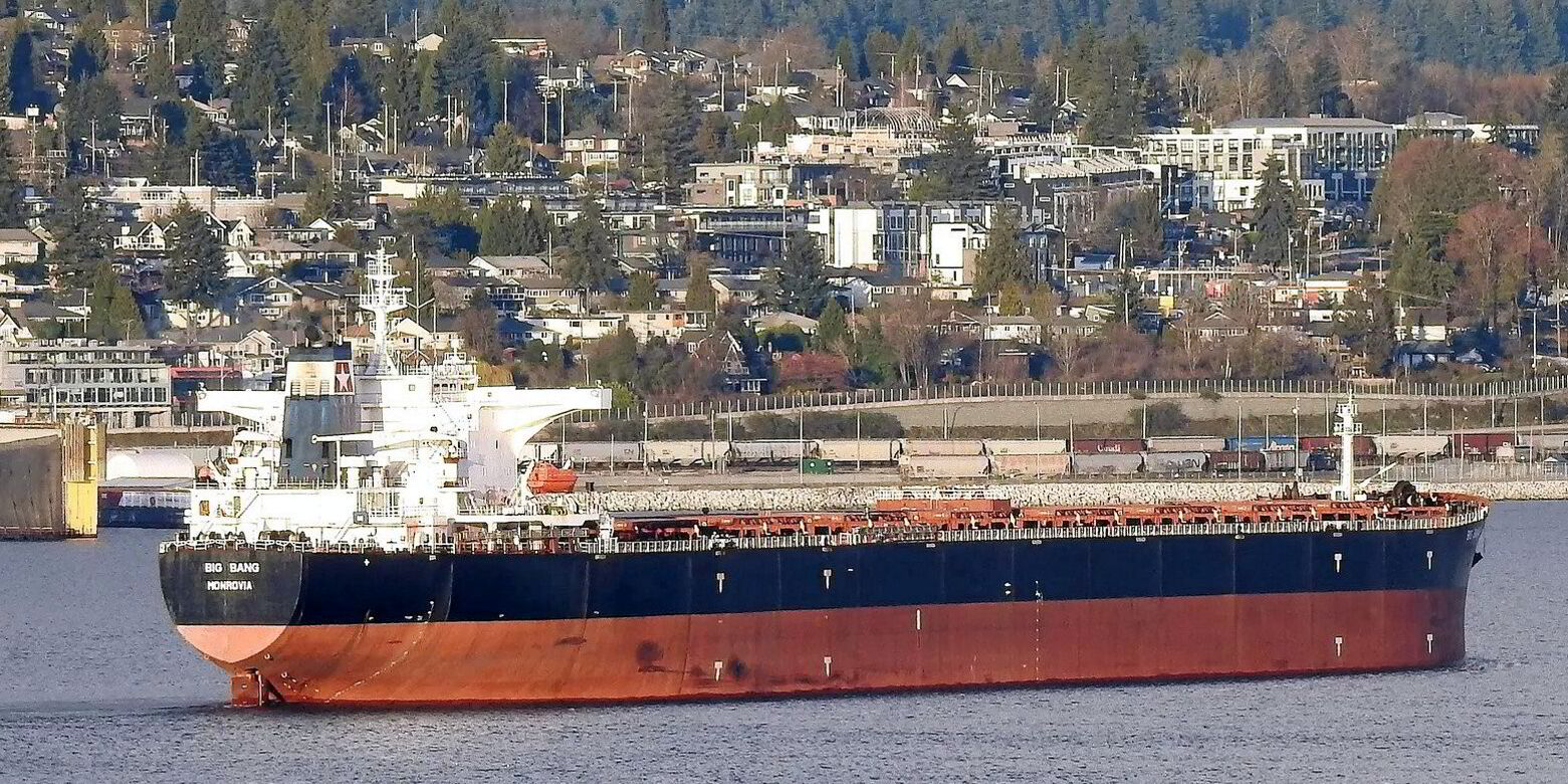 Chinese shipowner flips two capesize bulkers for profit | TradeWinds