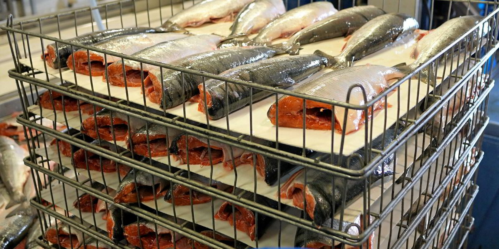 Canfisco buys deeper into Alaska salmon sector | IntraFish.com