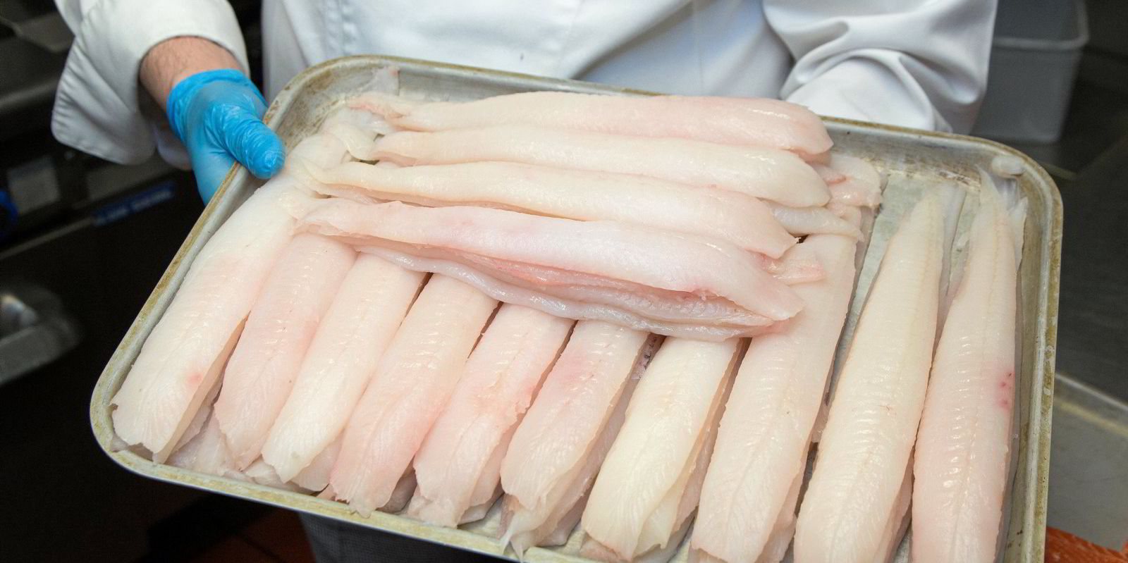 Russia’s largest fish processing plant on the verge of bankruptcy after ...