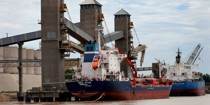 Dry bulk market should remain strong amid lower grain forecasts ...