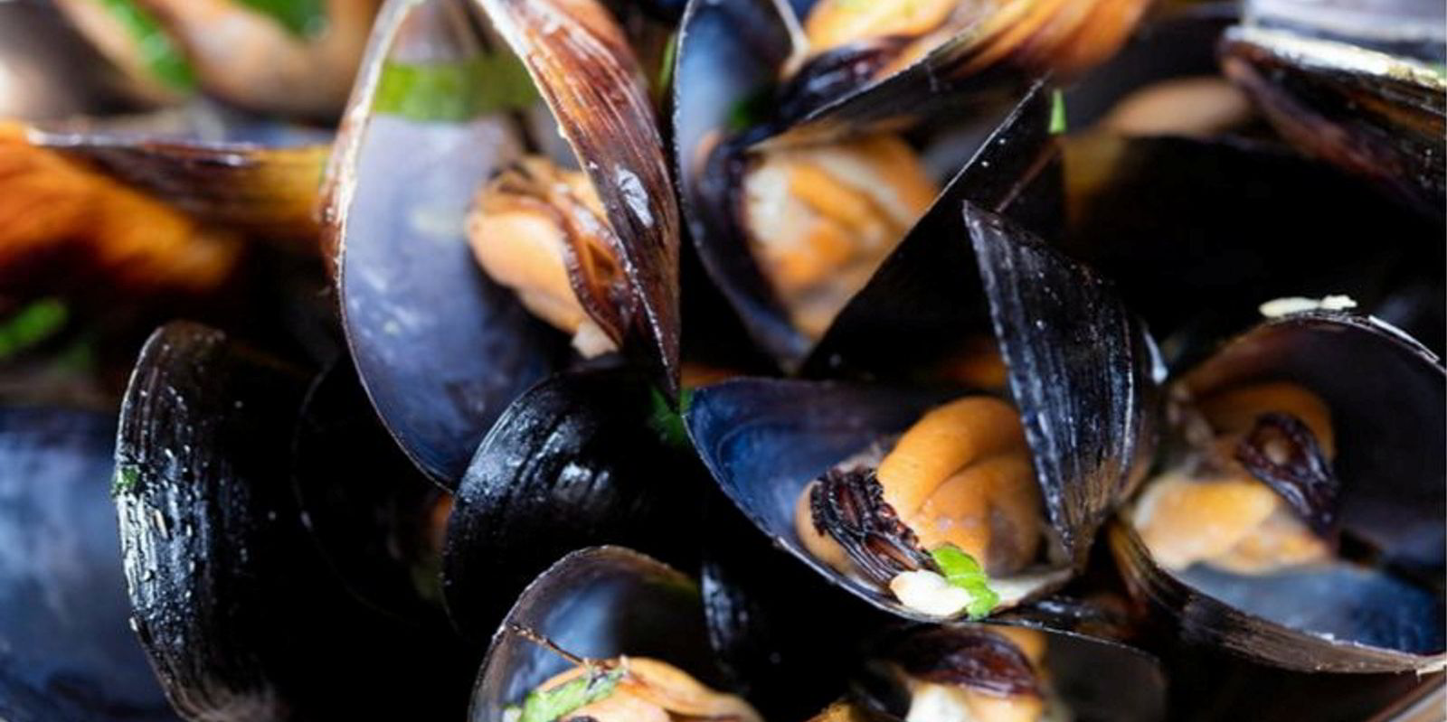Australia's Yumbah Aquaculture swoops to acquire shellfish rival ...