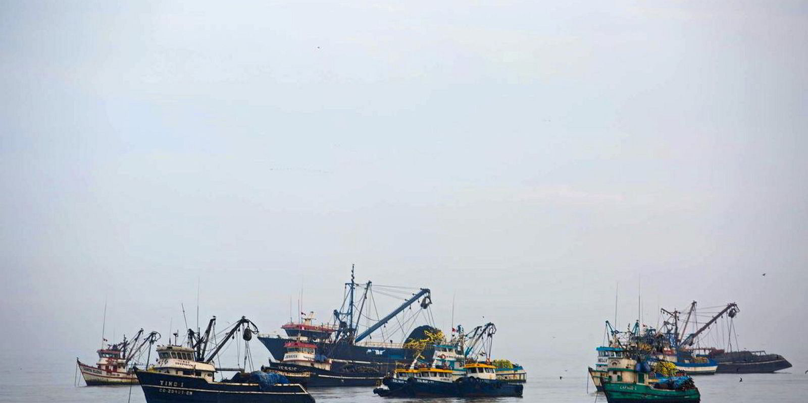 Key anchovy harvest under threat from slowing catch rates, mini fishing ...