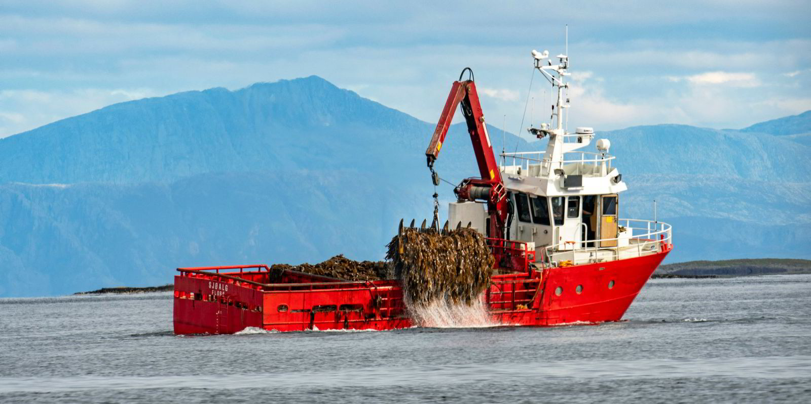 Amerikansk storkonsern står bak selskap som har høstet tare for 14 ...