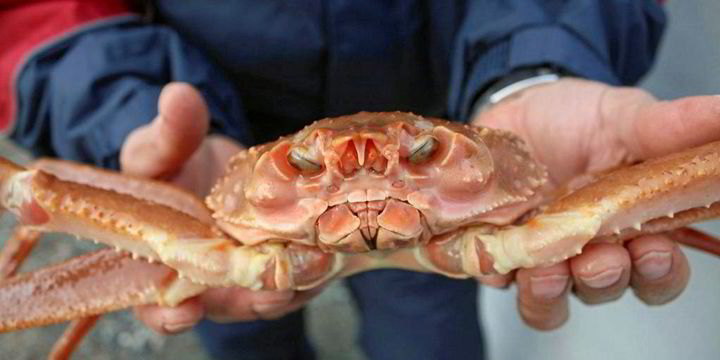 Newfoundland snow crab season finally kicks off after bitter price ...