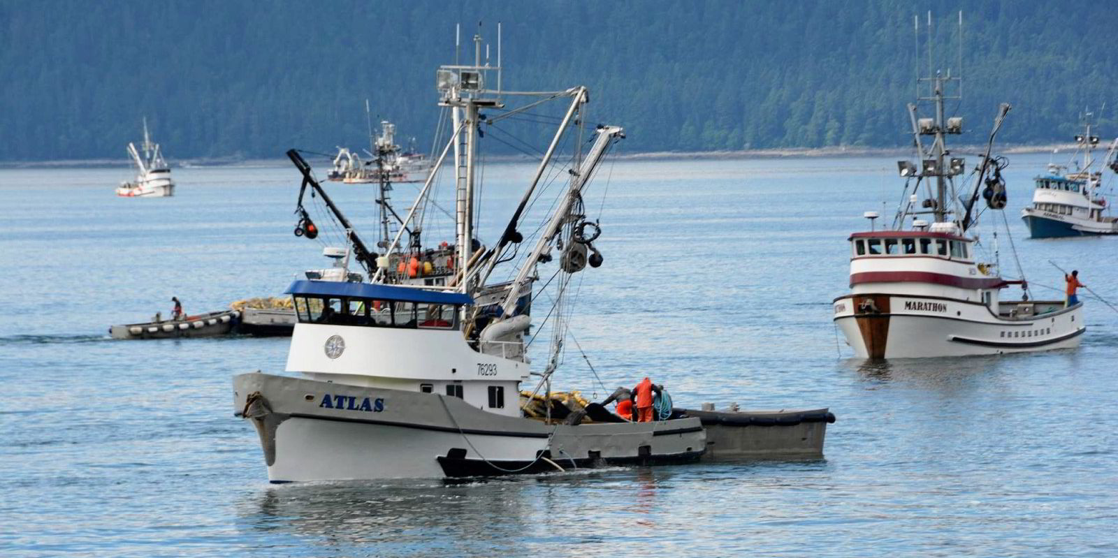 Peter Pan, Silver Bay Seafoods talks for Alaska salmon processing JV ...