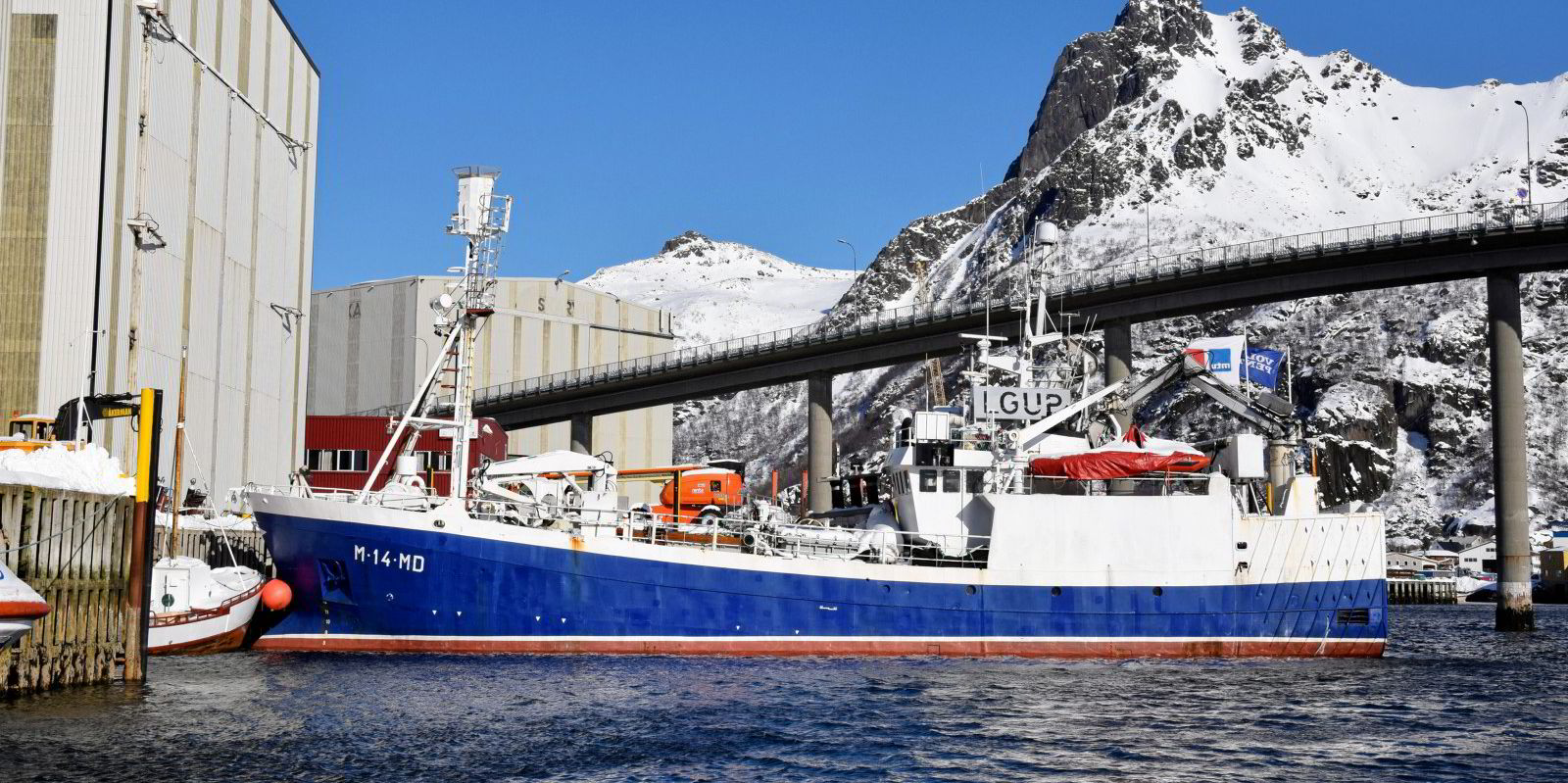 Makrellen skulle vært hentet for en uke siden. Først i dag ble en ...