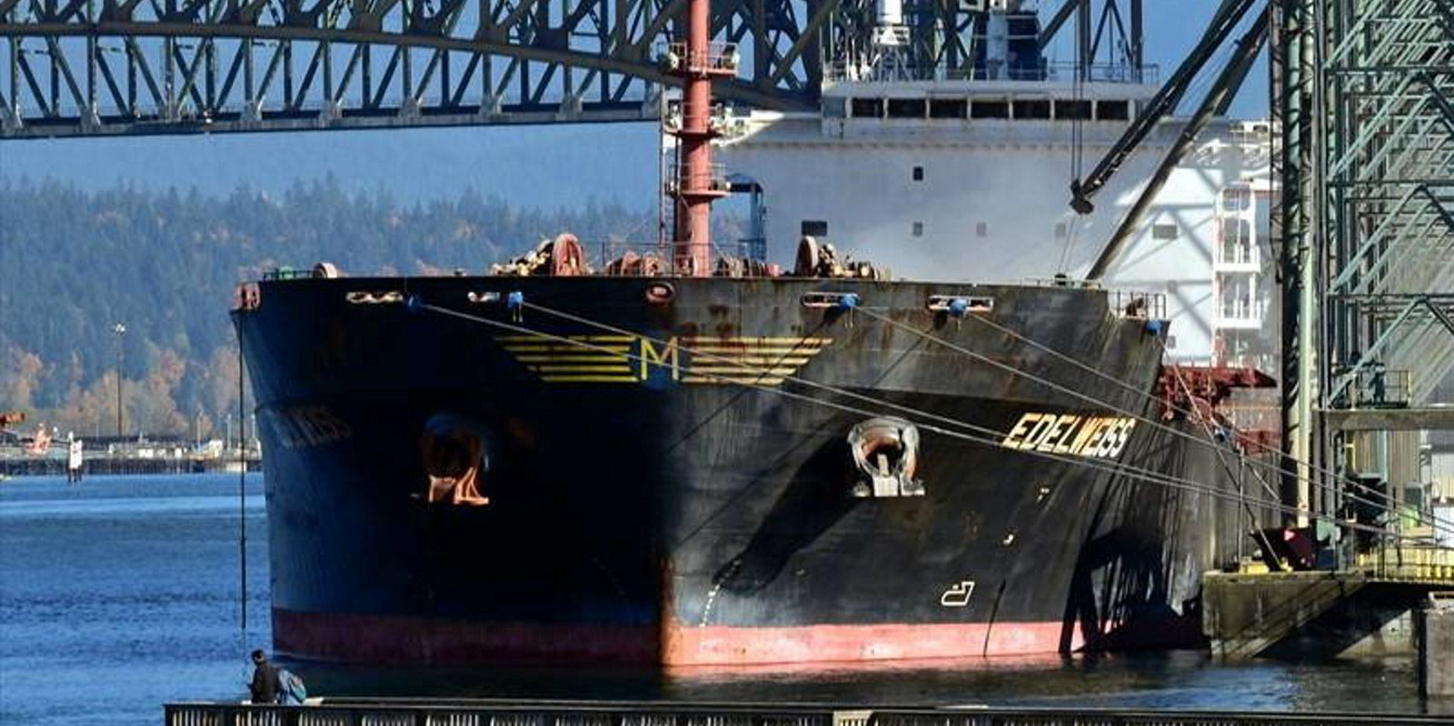 Transmed sells oldest bulker at second attempt | TradeWinds