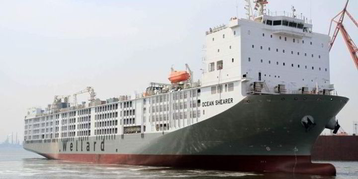 Wellard launches world’s largest live export ship | TradeWinds