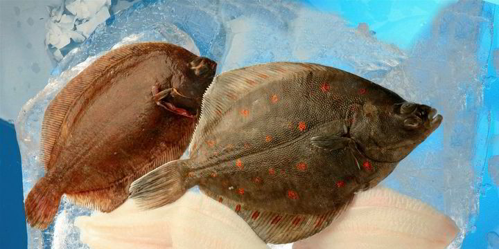 Iceland’s lemon sole fishery enters MSC assessment | IntraFish.com